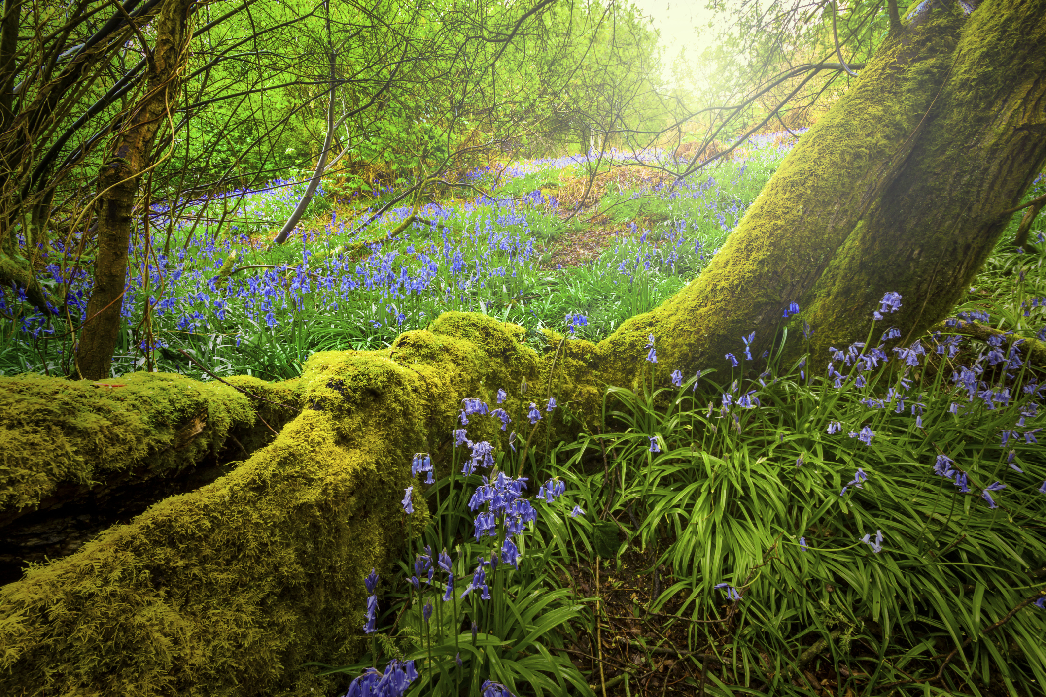 ThinkstockPhotos-480296575 - 電力比較・切り替えサイト:energy-navi